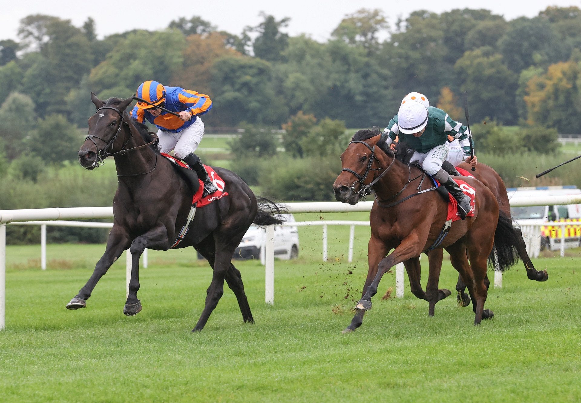 Wootton Bassett Filly Gains Maiden Victory