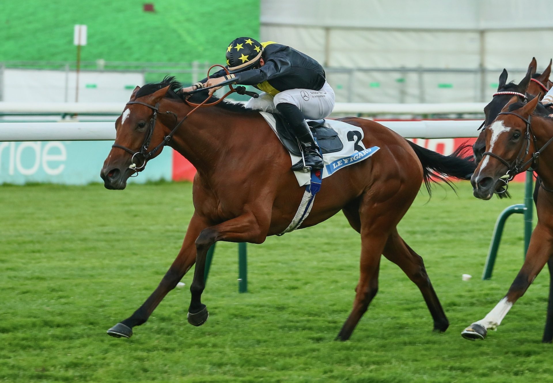 Australia Filly Adds Listed Win To Fine Record