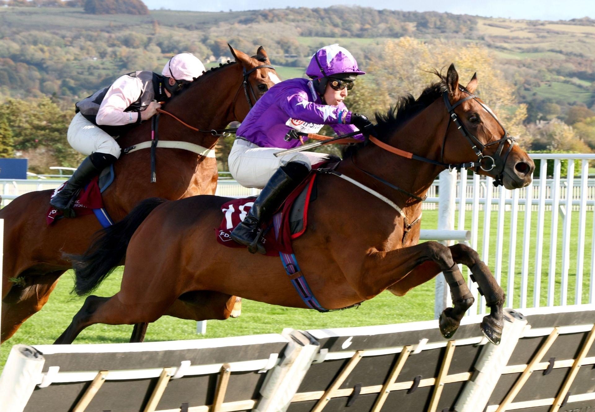Wings Of Eagles Mare Lands Easy Cheltenham Success