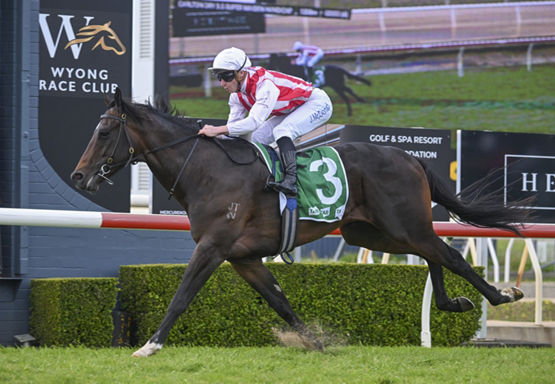 Wootton Bassett Colt Bolts in by Five!