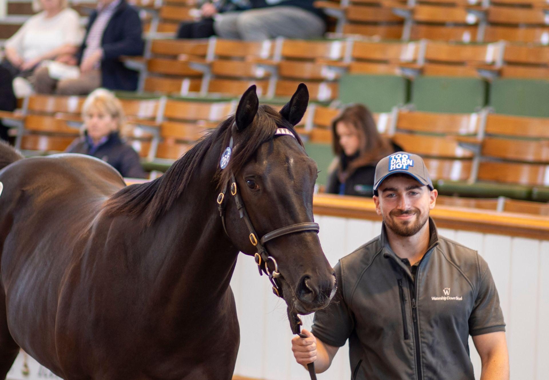 Purple Patch Continues For No Nay Never With 1.7 Million Guineas Colt