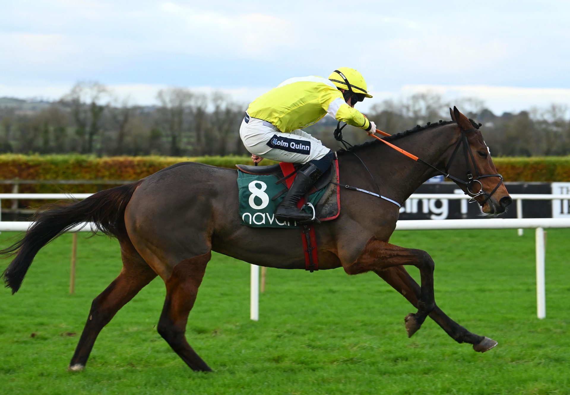 Walk In The Park Mare Strikes Listed Success in Navan Bumper