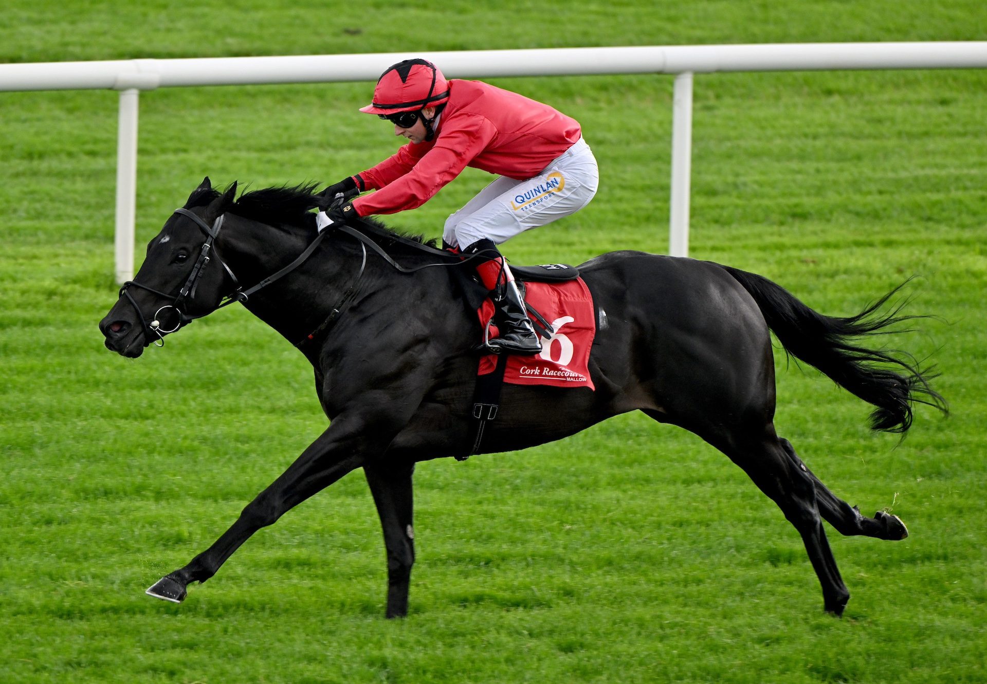 Sioux Nation Colt Wins Listed Sprint In Good Style