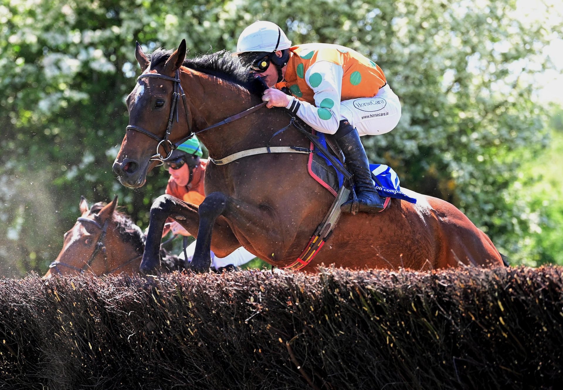 Getaway Four-Year-Old Makes Perfect Start At Ballindenisk