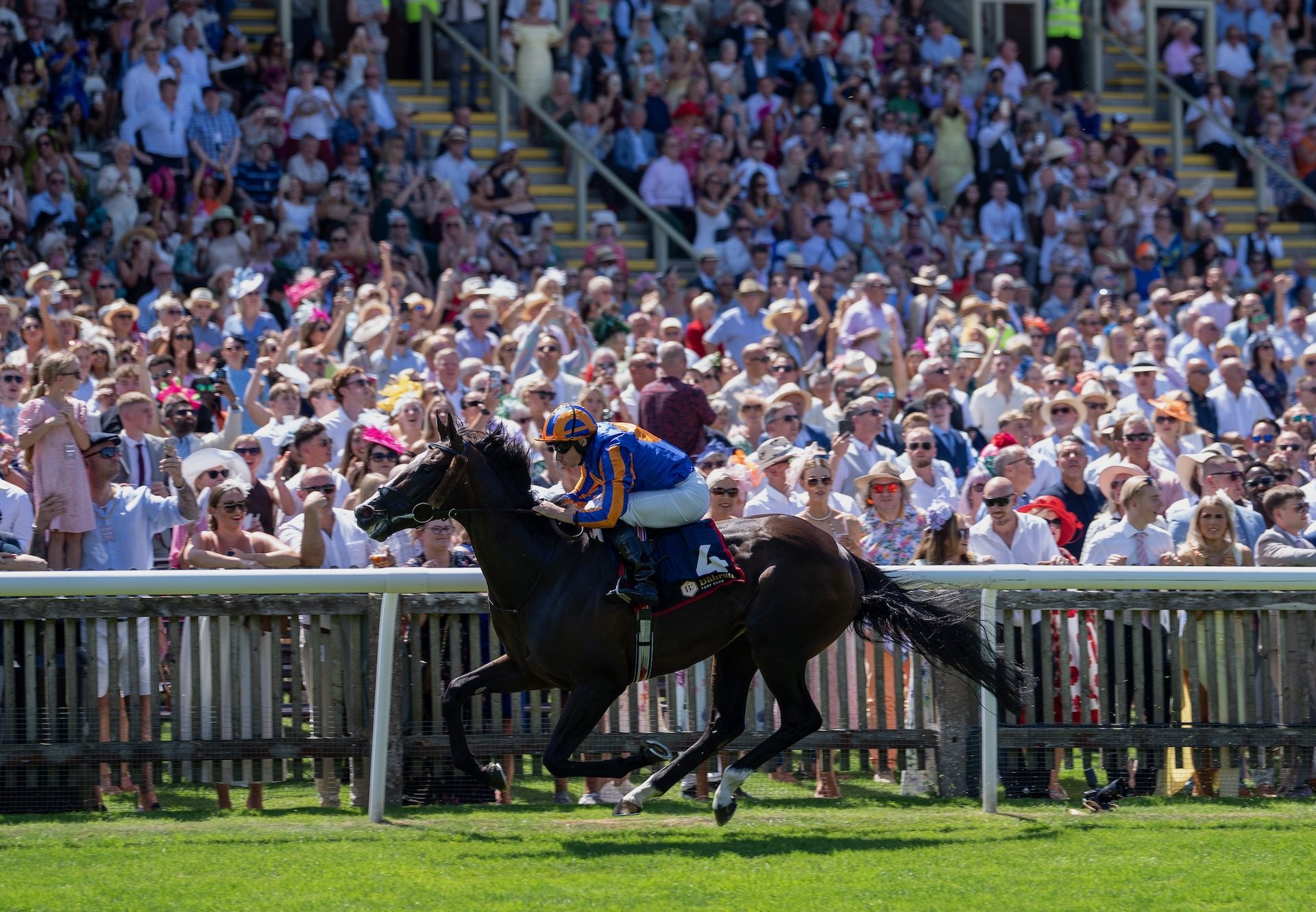 Justify Colt Enters Classic Picture in G3 Bahrain Trophy