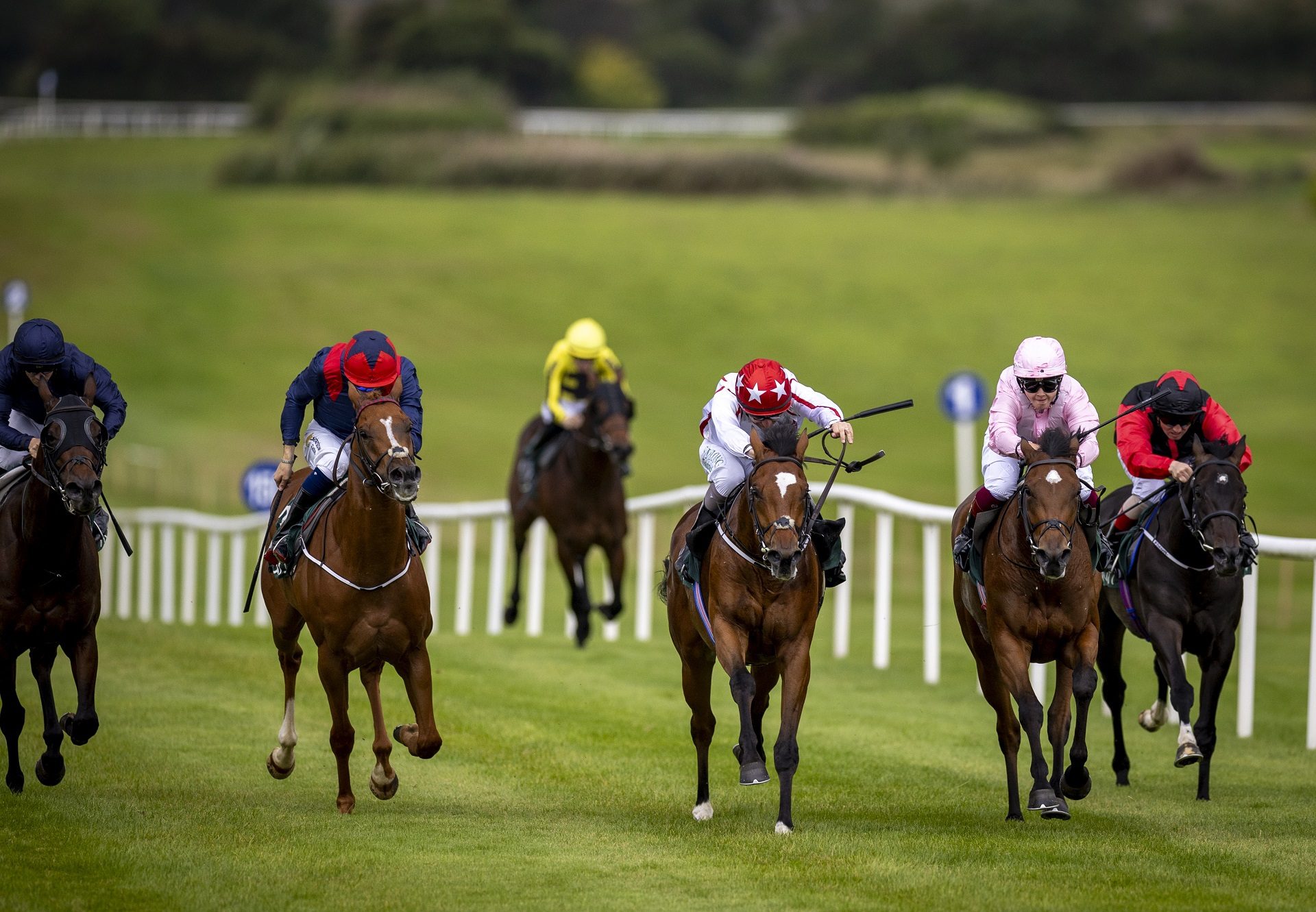 Son Of Starspangledbanner Strikes At Navan