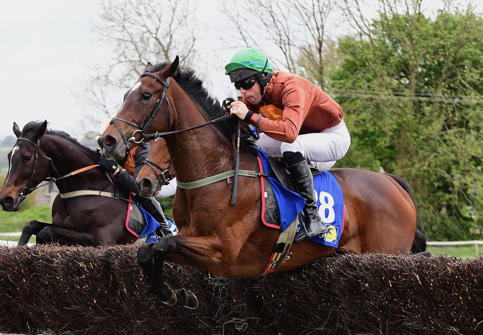Wings Of Eagles Mare Gets Off The Mark At Dromahane