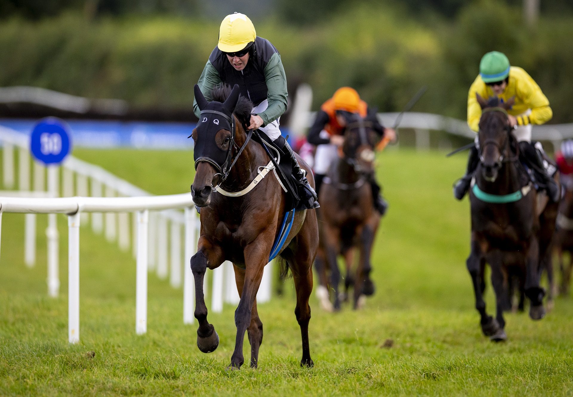 Idaho Gelding Draws Clear For Bumper Success