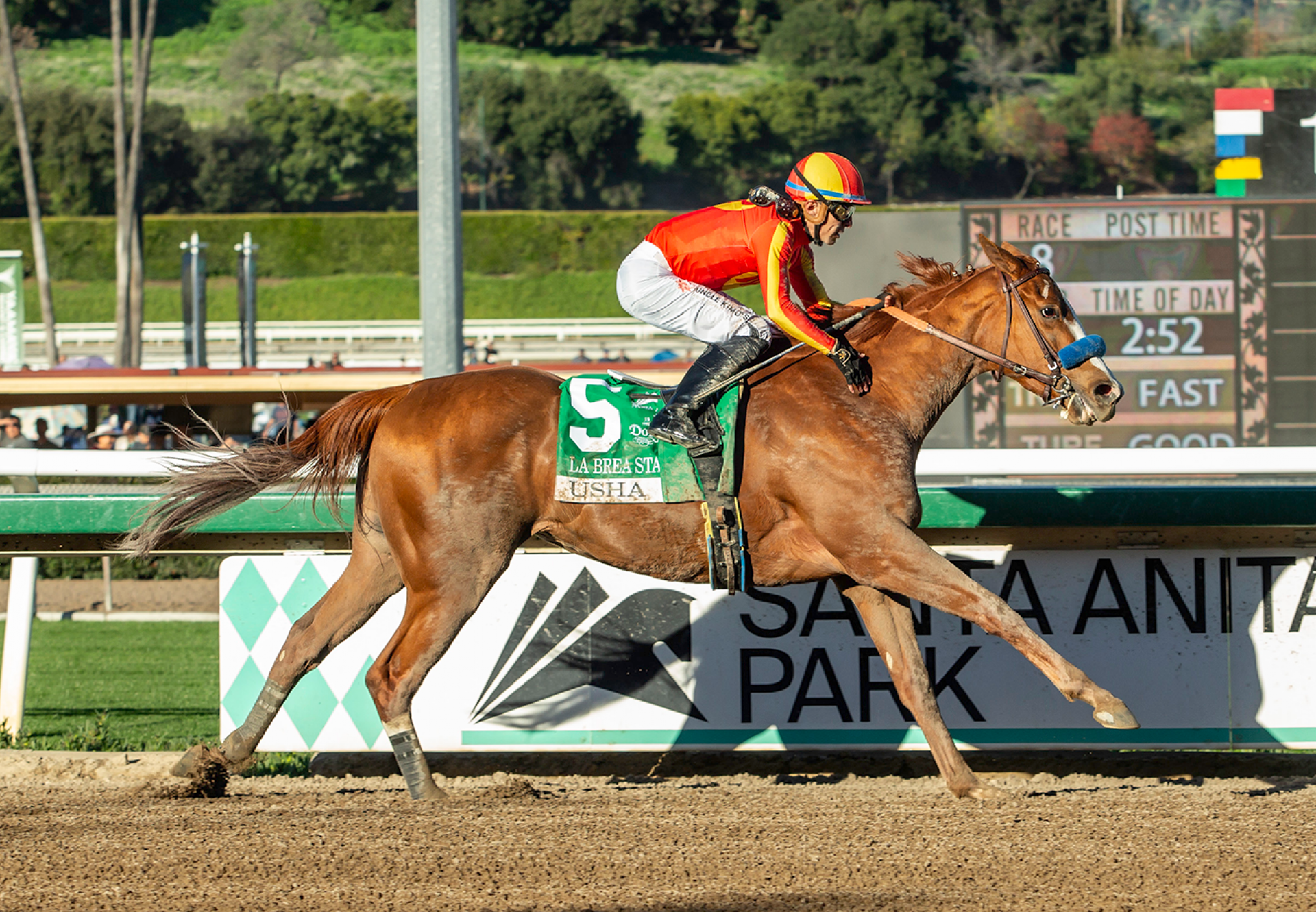 Usha First G1 Winner for Tiz The Law