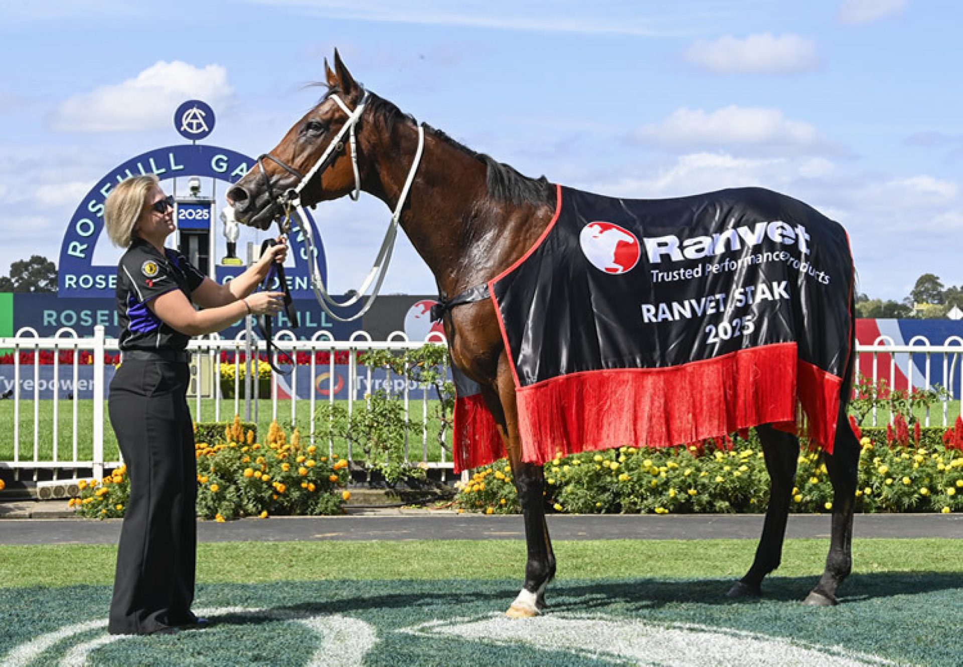 Fastnet Rock Mare Via Sistina Goes Back-to-Back in G1 Ranvet