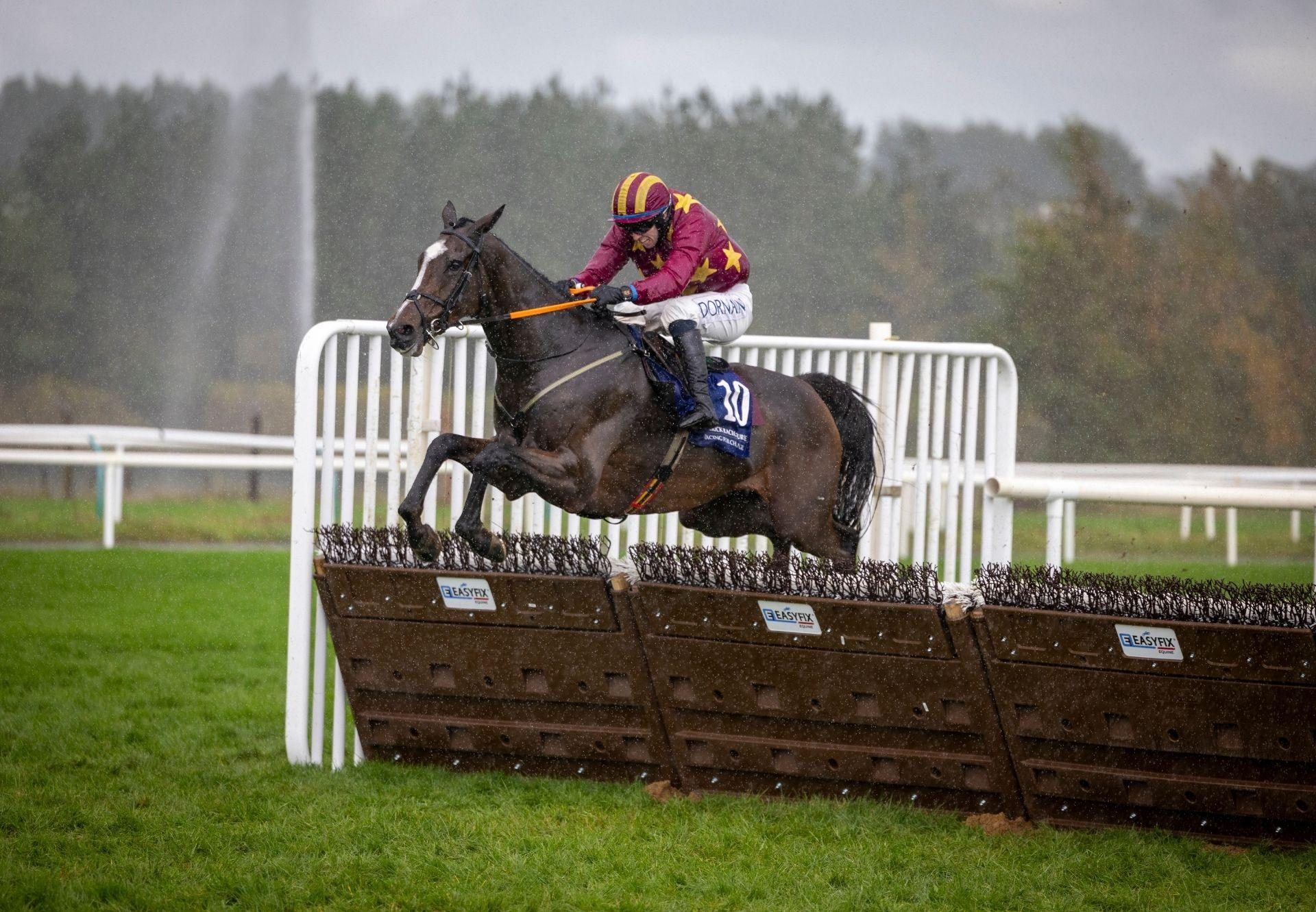 Walk In The Park Gelding Lands First Win Over Hurdles