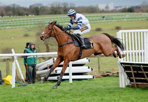 Crystal Ocean Gelding Readily Strikes At Carrigarostig