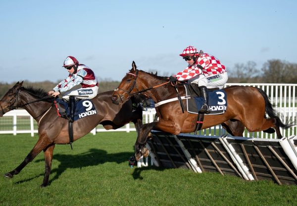 Crystal Ocean Gelding Readily Strikes At Carrigarostig