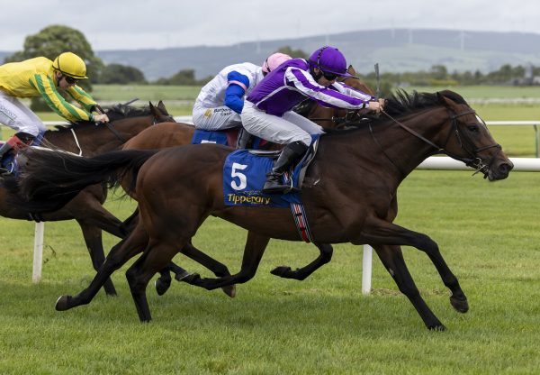 New G1 Winner for Wootton Bassett