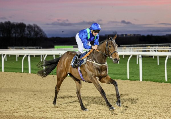 No Nay Never Colt Readily Captures First Win