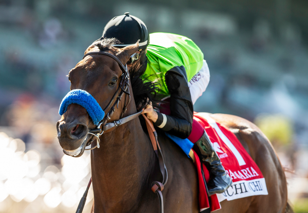 Practical Joke Juveniles Shine at OBS April