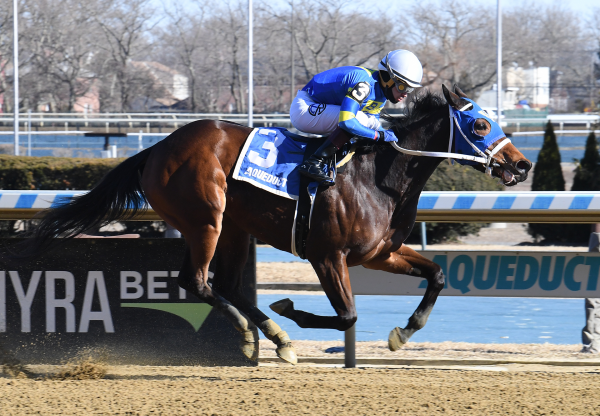 $230,000 Filly Leads Way for Mo Town at OBS