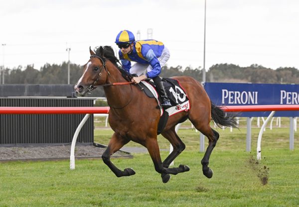 King’s Legacy Metro 2YO Quinella