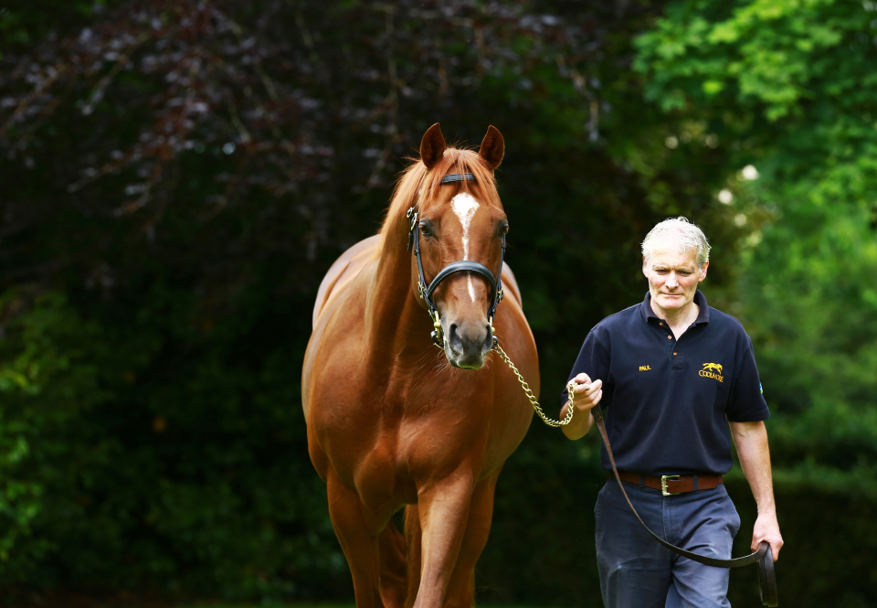 Smart Saturday Double For Australia
