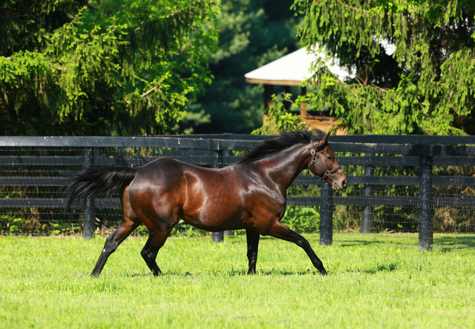 Showcase Newest ‘Rising Star’ For Uncle Mo